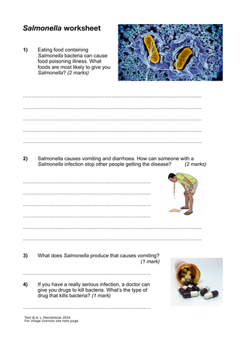 AQA Salmonella worksheet, GCSE 9-1 biology | Teaching Resources