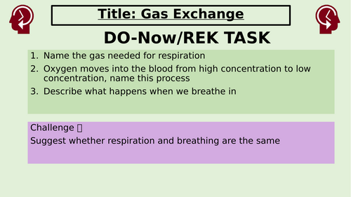 GCSE Edexcel Gas Exchange Lesson | Teaching Resources