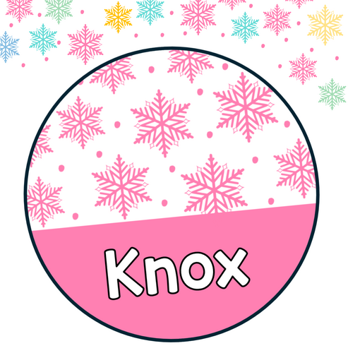 Editable Winter Student Name Tags, Printable Pastel Snowflakes Name ...