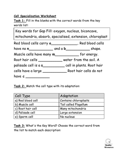 Complete Specialised Cells Lesson Package for SEN & Low-Ability ...