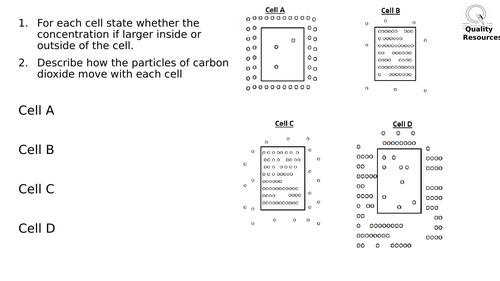 GCSE Diffusion Worksheets with Answers: Master the Concept of Diffusion ...