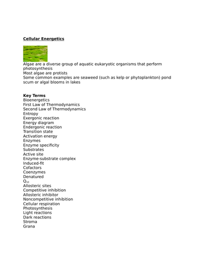 AP Biology Cellular Energy and ATP Worksheet, Sub Plans | Teaching ...