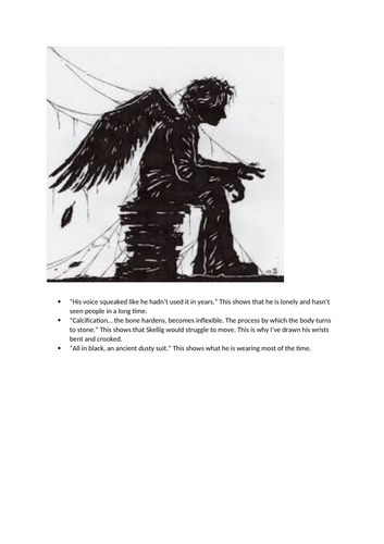 S2 Skellig Prose Novel Study | Teaching Resources