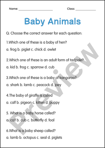 Printable Animals and Their Babies Activity Worksheets for Grade 1, 2 ...