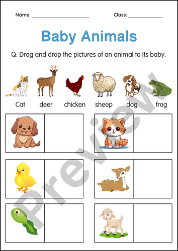 Printable Animals and Their Babies Activity Worksheets for Grade 1, 2, 3 | Teaching Resources