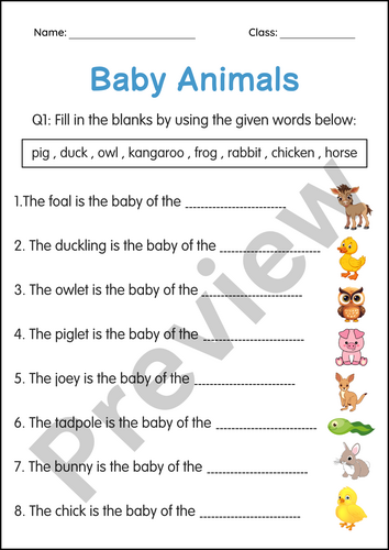 Printable Animals and Their Babies Activity Worksheets for Grade 1, 2 ...