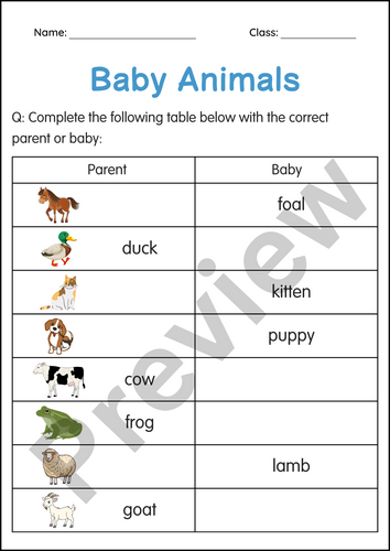 Printable Animals and Their Babies Activity Worksheets for Grade 1, 2 ...