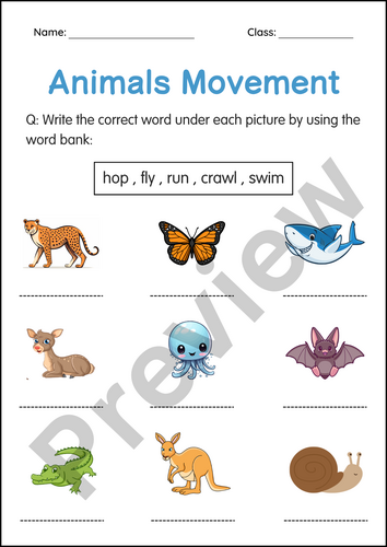 Printable Movements of Animals Activity Worksheet for Grade 1, 2, 3 ...