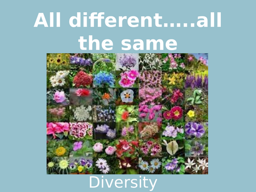 Diversity - All different all the same | Teaching Resources