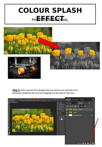 Colour splash photopea/photoshop resource | Teaching Resources
