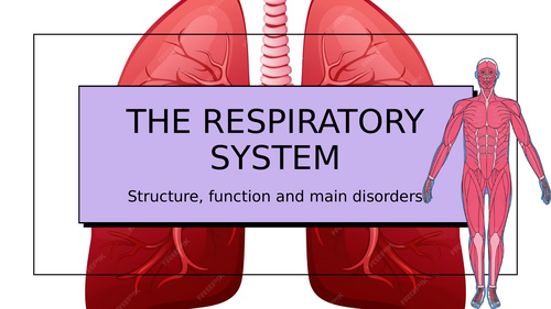 T Level Health - The Respiratory System | Teaching Resources