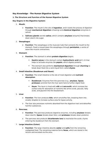 GCSE Biology - The Human Digestive System Revision Pack | Teaching ...