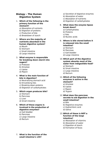 GCSE Biology - The Human Digestive System Revision Pack | Teaching ...