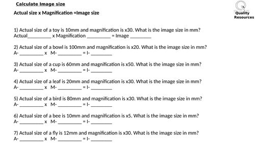 Accessible Magnification Lesson: Tailored for SEN & Low-Ability ...