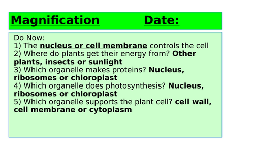 Accessible Magnification Lesson: Tailored for SEN & Low-Ability ...