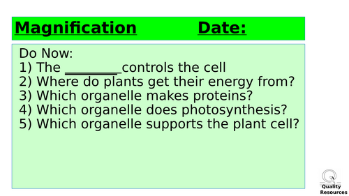 Complete Magnification Lesson: Differentiated for All Abilities ...
