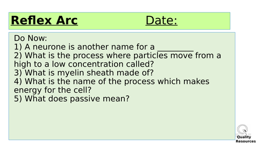 GCSE Reflex Arc Lesson – Engaging Activities with Worksheets for All ...