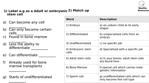 GCSE Stem Cells Complete Lesson with accompanying Worksheets | Teaching ...