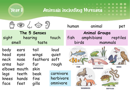 Primary Science Vocabulary | Teaching Resources