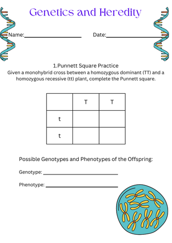 Genetics and Heredity Worksheet | Teaching Resources