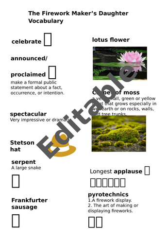 The Firework Maker's Daughter Vocabulary | Teaching Resources