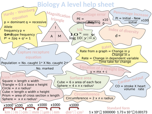 A Level Biology Maths Help Sheet | Teaching Resources