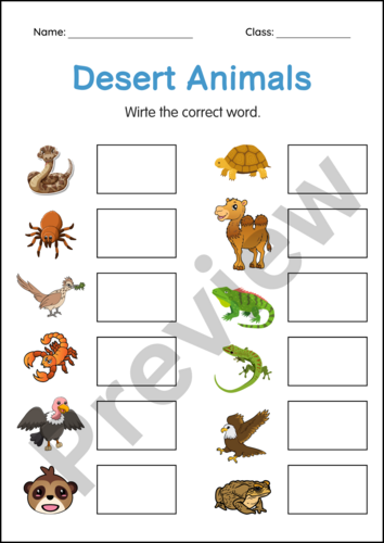 Printable Desert Animals Worksheets Activity for 1st 2nd Grade ...