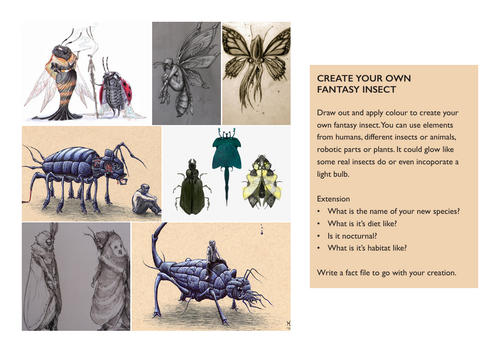 Fantasy insect cover / extension | Teaching Resources