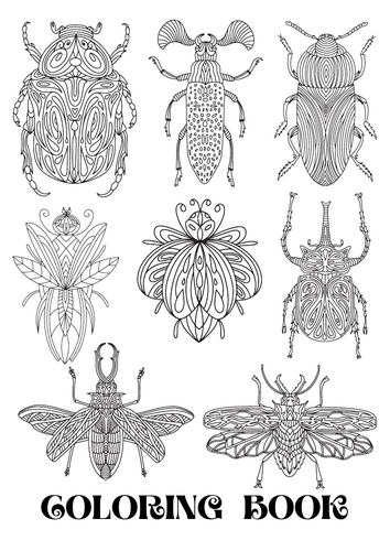 Mindfulness Colouring: Beetles | Teaching Resources
