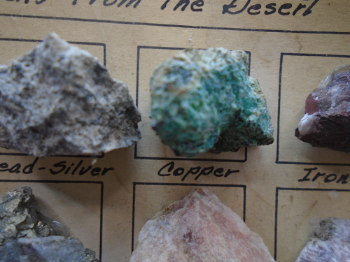 SPECIMEN FROM THE DESERT ROCKS AND MINERALS 12/2/24 | Teaching Resources