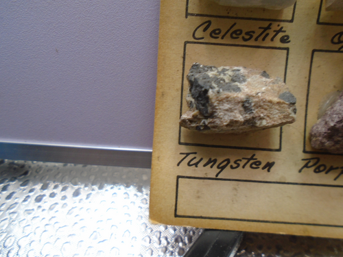 SPECIMEN FROM THE DESERT ROCKS AND MINERALS 12/2/24 | Teaching Resources