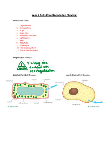 Year 7 Cells Booklet | Teaching Resources