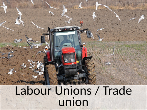A-level Economics - Trade unions and Monopsony (3 lessons) (+graphs ...