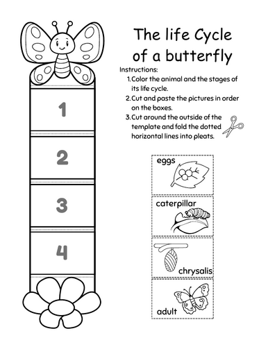 Life Cycle of Animals Craft – Cut and Paste Activity | Teaching Resources