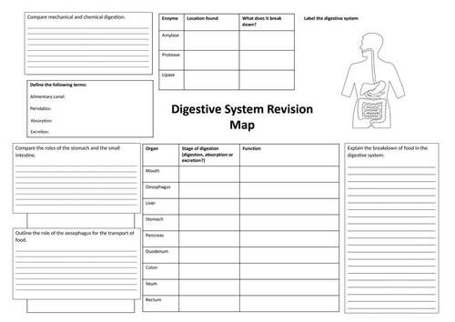 Unit 3: Anatomy and Physiology BTEC Level 3 HSC, Exam Revision Resources | Teaching Resources
