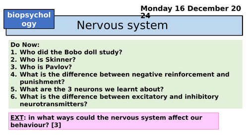A Level Psychology - biopsychology - Nervous system | Teaching Resources