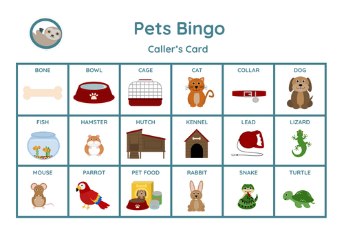 ESL Pets Bingo | Teaching Resources