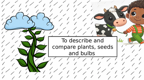 KS1 Plants complete unit - Jack and the Beanstalk | Teaching Resources