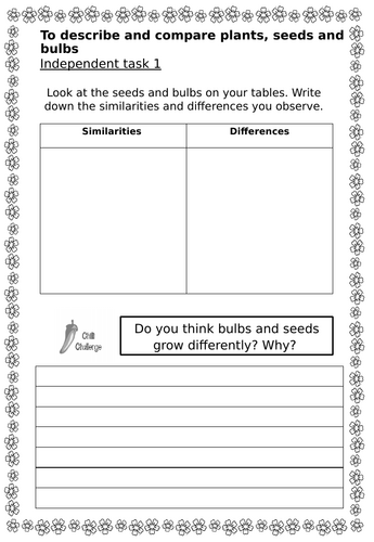 KS1 Plants complete unit - Jack and the Beanstalk | Teaching Resources