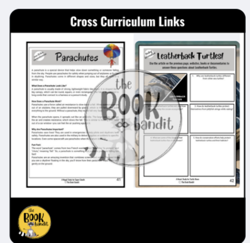 SUPER SLEUTH based on the book by David Walliams NOVEL STUDY | Teaching ...