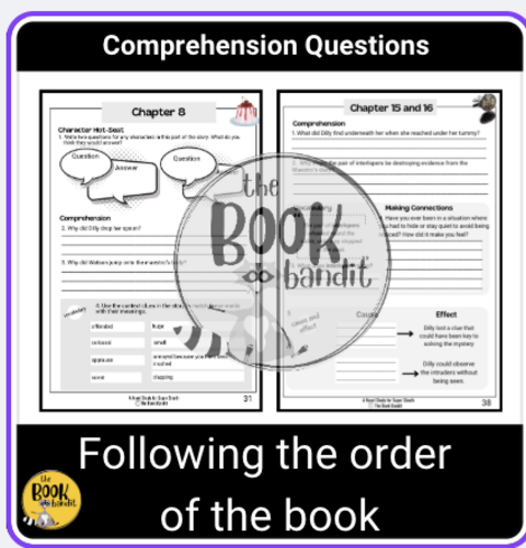 SUPER SLEUTH based on the book by David Walliams NOVEL STUDY | Teaching ...