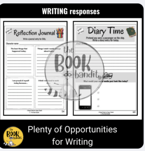 SUPER SLEUTH based on the book by David Walliams NOVEL STUDY | Teaching ...