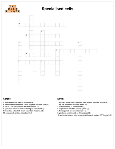 Specialised cells crossword | Teaching Resources