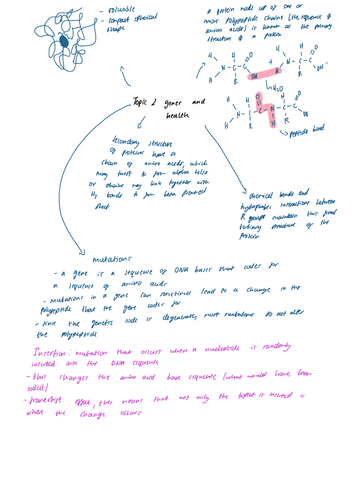 AS biology SNAB Topic 1and 2 | Teaching Resources