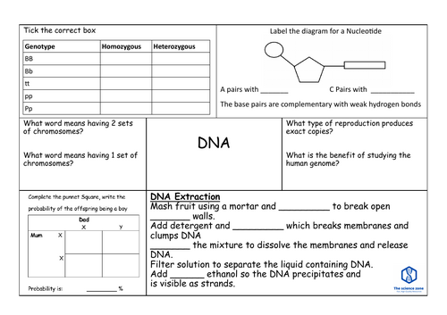 B3 DNA & Genetics Revision Mat – Master GCSE Inheritance with This Interactive Resource ...