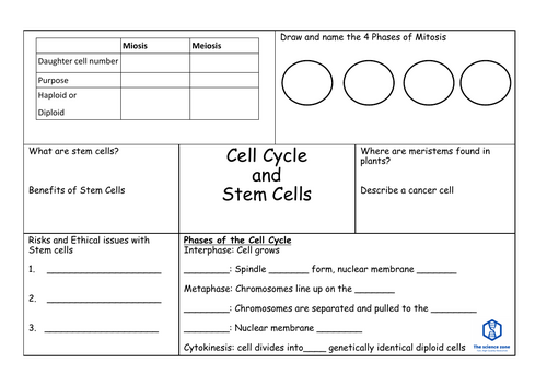 B2 Cell Cycle & Mitosis Revision Mat – Simplify GCSE Biology with This ...