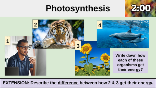 Photosynthesis Intro Lesson | Teaching Resources