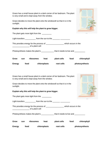 Photosynthesis Intro Lesson | Teaching Resources