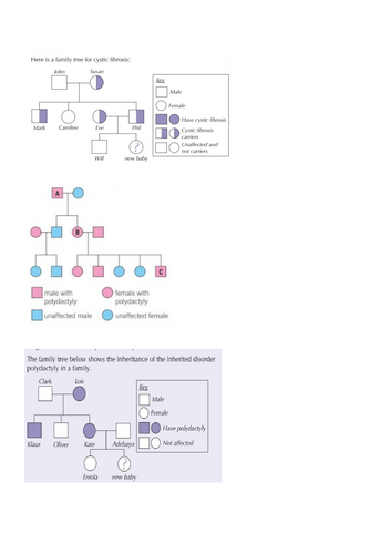 AQA GCSE Biology "Lesson 10 - Gender and Screening" (Inheritance ...