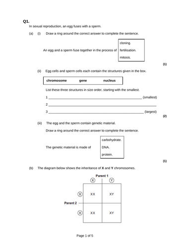 AQA GCSE Biology "Lesson 10 - Gender and Screening" (Inheritance ...